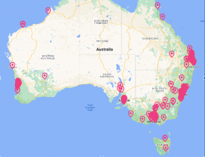 NDIS Therapeutic Service | Book NDIS Service Provider – My Care Plus